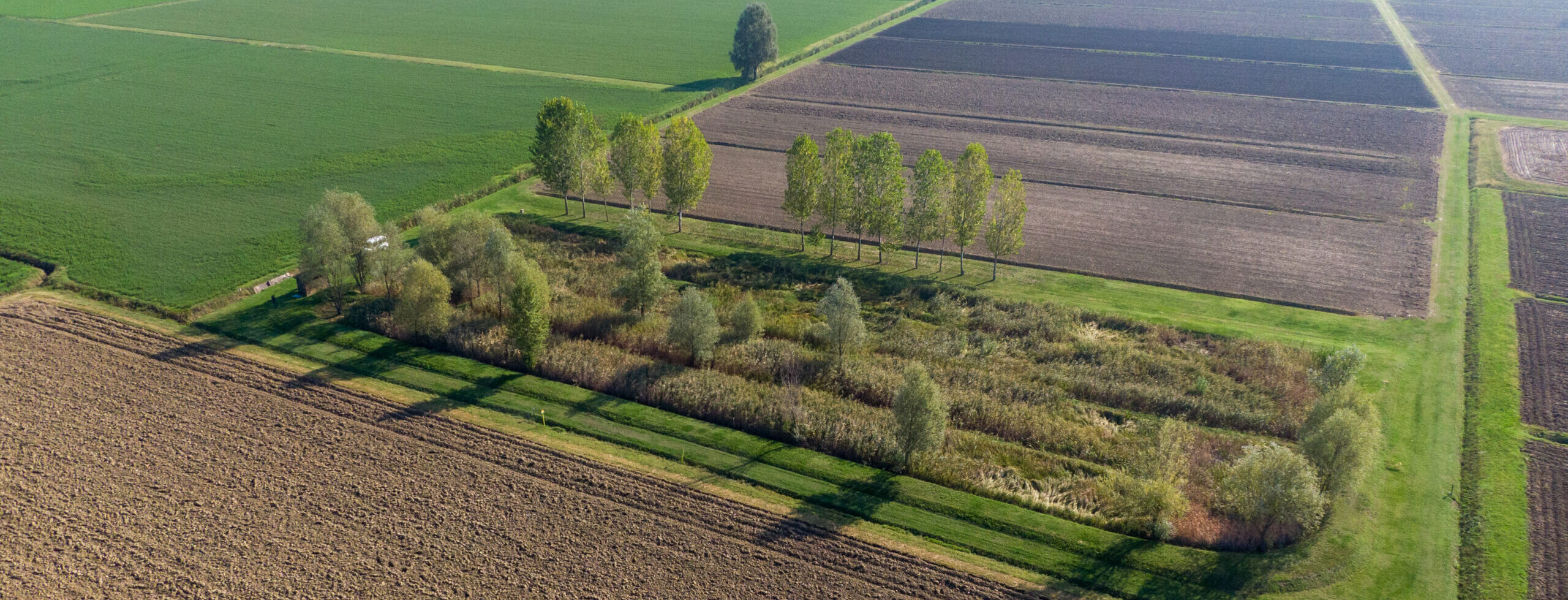 Pilot site - Bologna, Italy - WATERAGRI Pilot site - Bologna, Italy Pilot site - Bologna, Italy - WATERAGRI Pilot site - Bologna, Italy